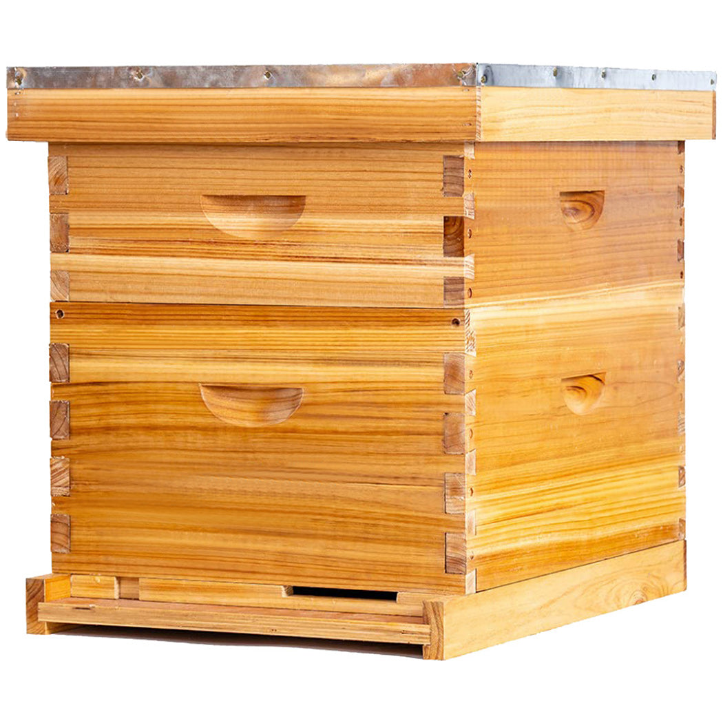 MayBee Hives 8 Frame 2 Layer Honey Bee Hives Cedar Wood(NO LOGO) – Maybee Hives