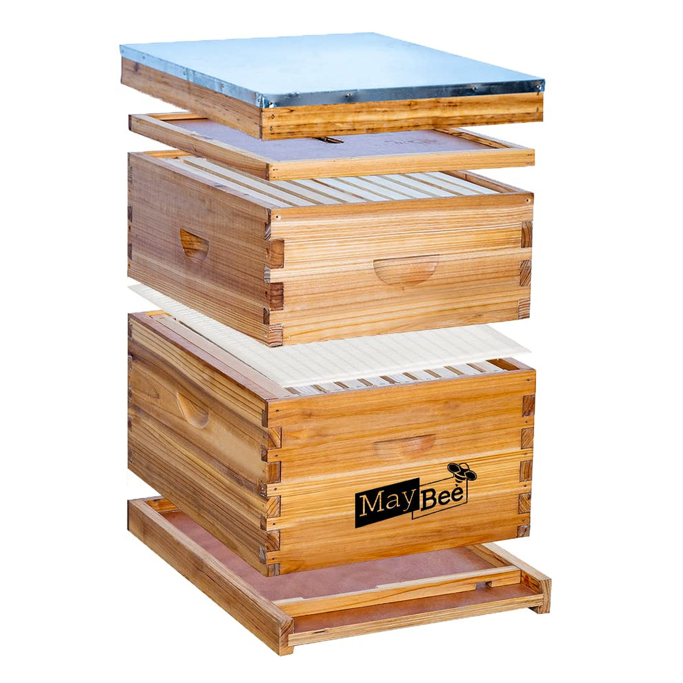 MayBee Hives Wax-Coated 10 Frame 2 Layer Honey Bee Hives Include 1 Dee ...