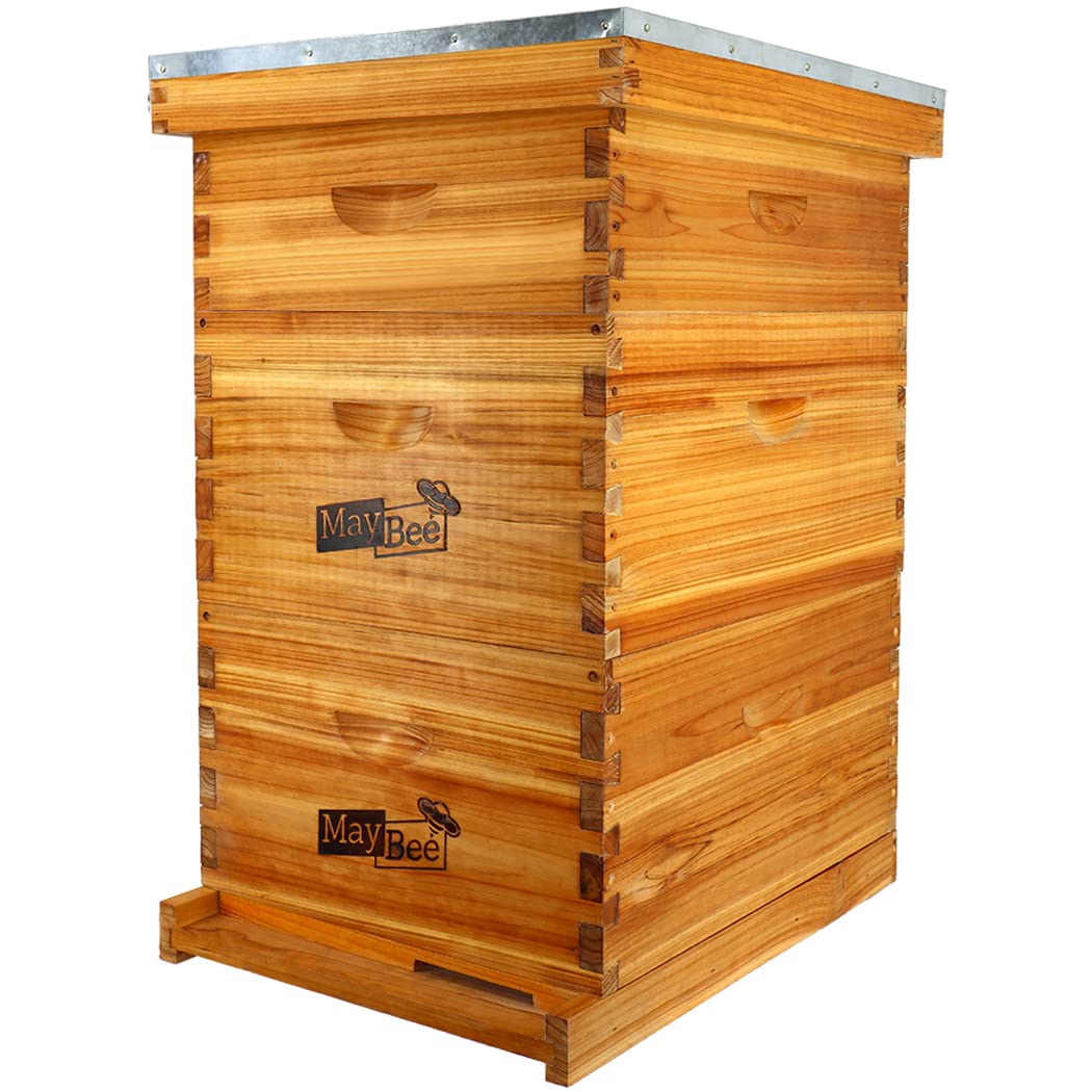 Maybee Hives 10 Frame 3 Layer Beehive Include 2 Deep Bee box And 1 Sup