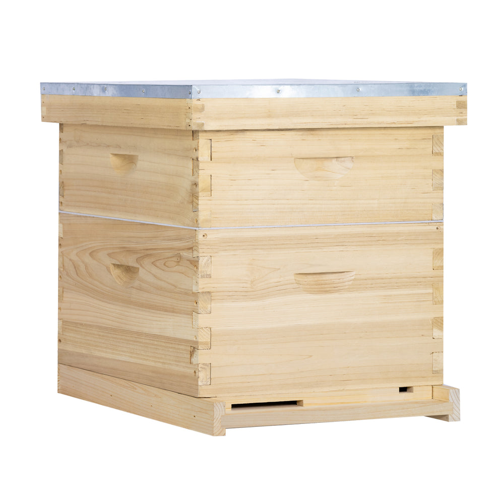 MayBee Hives 10 Frame Hive Kit, Includes Pine Wooden Frames & Beeswax ...