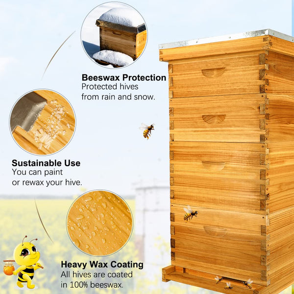 MayBee Hives 10 Frame 4 Layer Beehive Dipped in 100% Beeswax,Include 2 ...