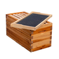 MayBee Hives 5 Frame Honey Bee Nuc Beehive Cedar Wood Beehives (No Log – Maybee Hives