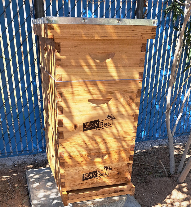 MayBee Hives Wax-Coated 8 Frame 3 Layer Beehive with 2 Deep Boxes and ...