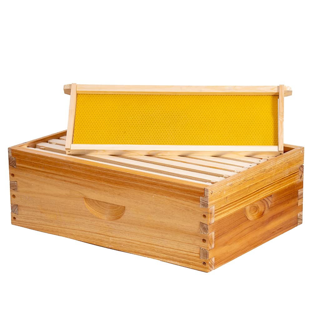 MayBee Hives 10 Frame Complete Cedar Wood Beehive Kits Include: 2 Deep ...