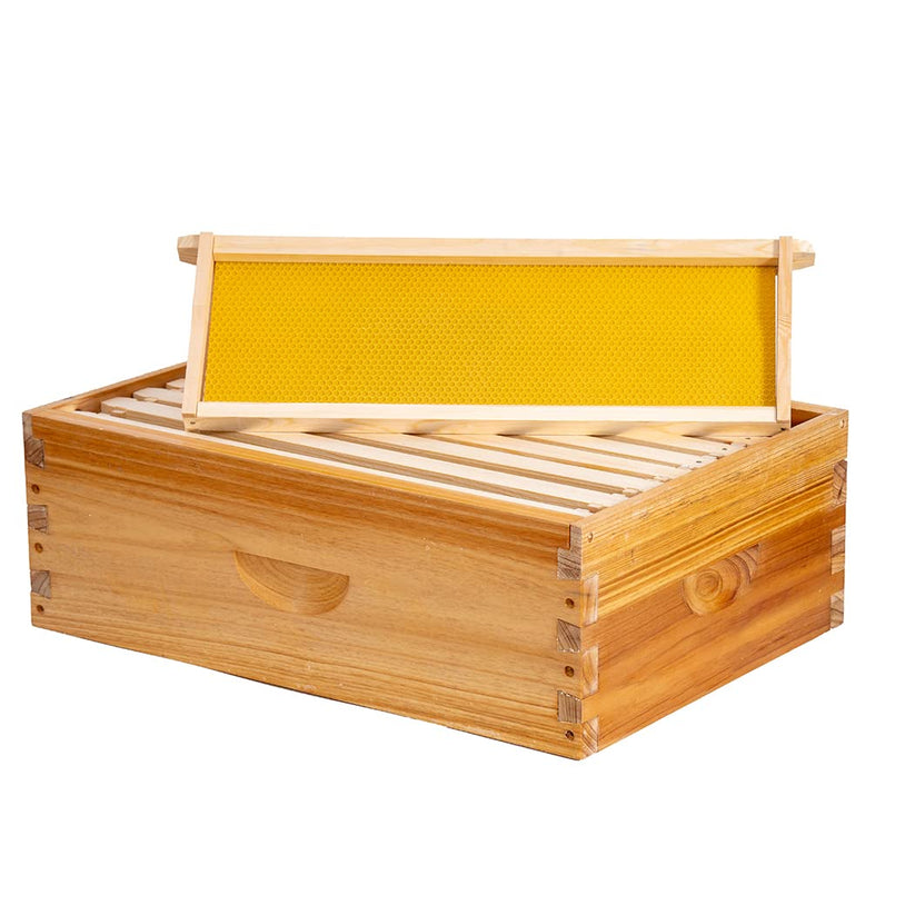 MayBee Hives Cedar Wood 10 Frame 3 Layer Wax Coated Langstroth Beehive ...