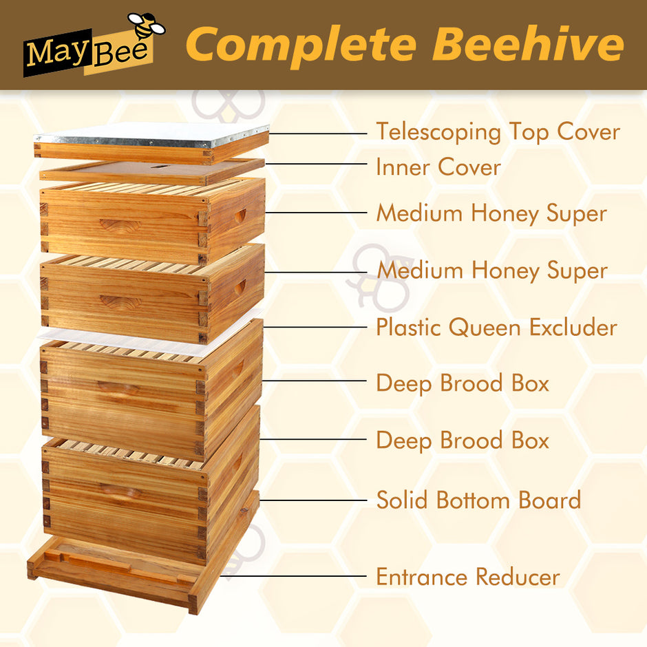 MayBee Beehives – Maybee Hives