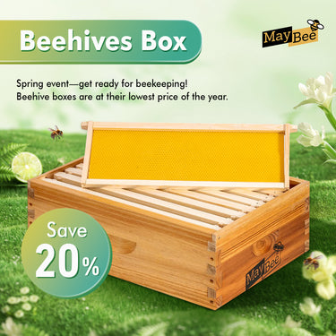 MayBee Hives 10-Frame Complete Bee Hives and Supplies Starter Kit：2 De ...