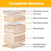 MayBee Hives 10-Frame Complete Bee Hives and Supplies Starter Kit：2 De ...