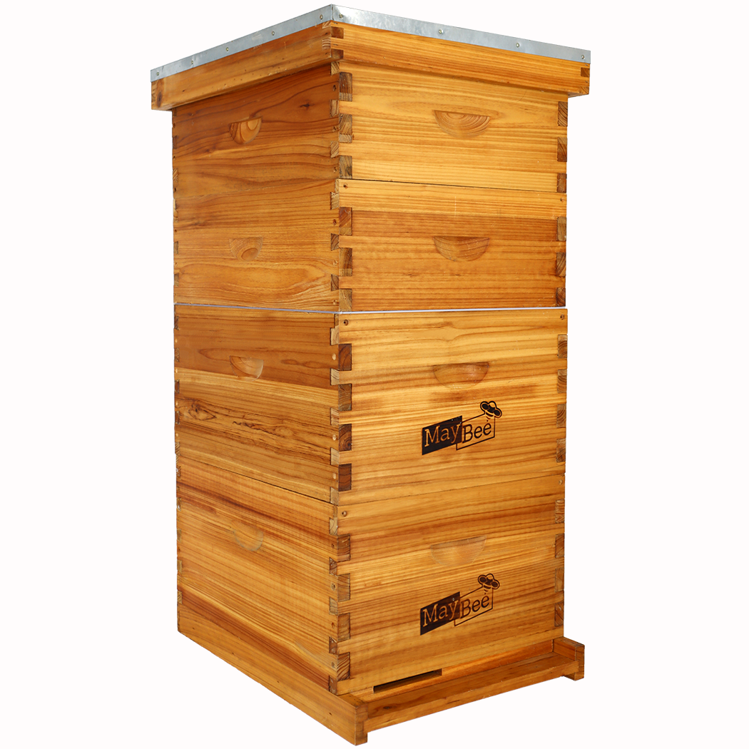 Maybee Hives Cedar Wood 10 Frame 4 Layer Beehive Include 2 Deep Honey