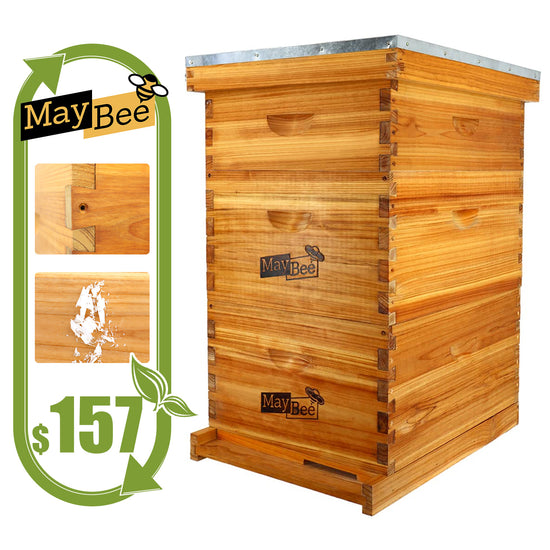 MayBee Hives Wax Coated 8 Frame 3 Layer Beekeeping Hives With 2 Deep B ...