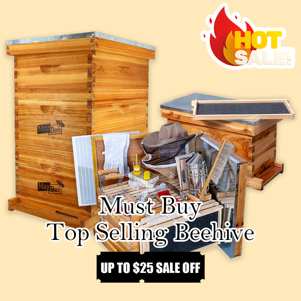 MayBee Beehives – Maybee Hives