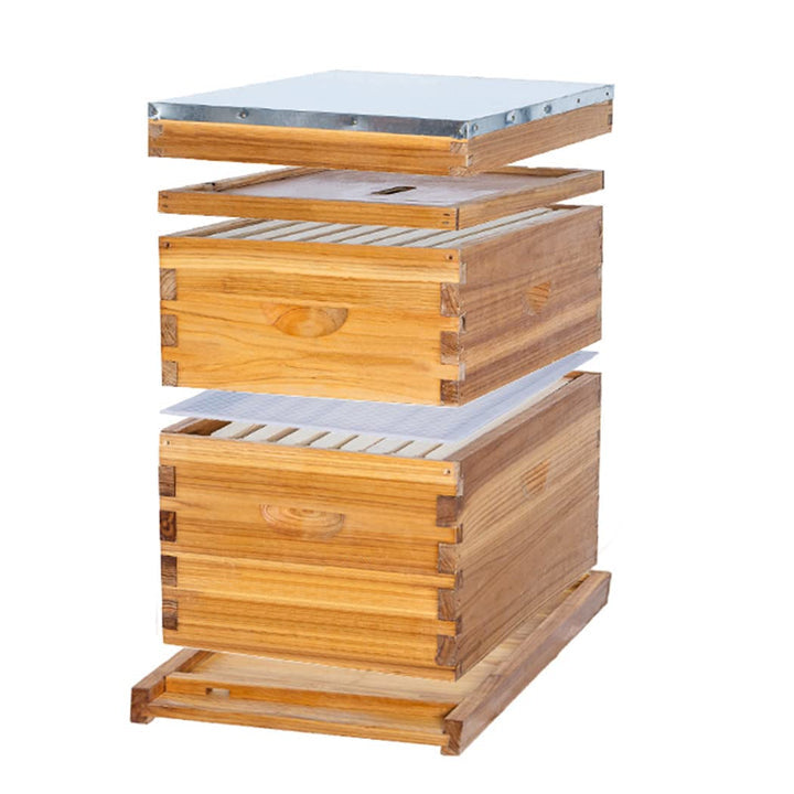 Maybee Hives 8 Frame 2 Layer Honey Bee Hives Include 1 Black Foundatio