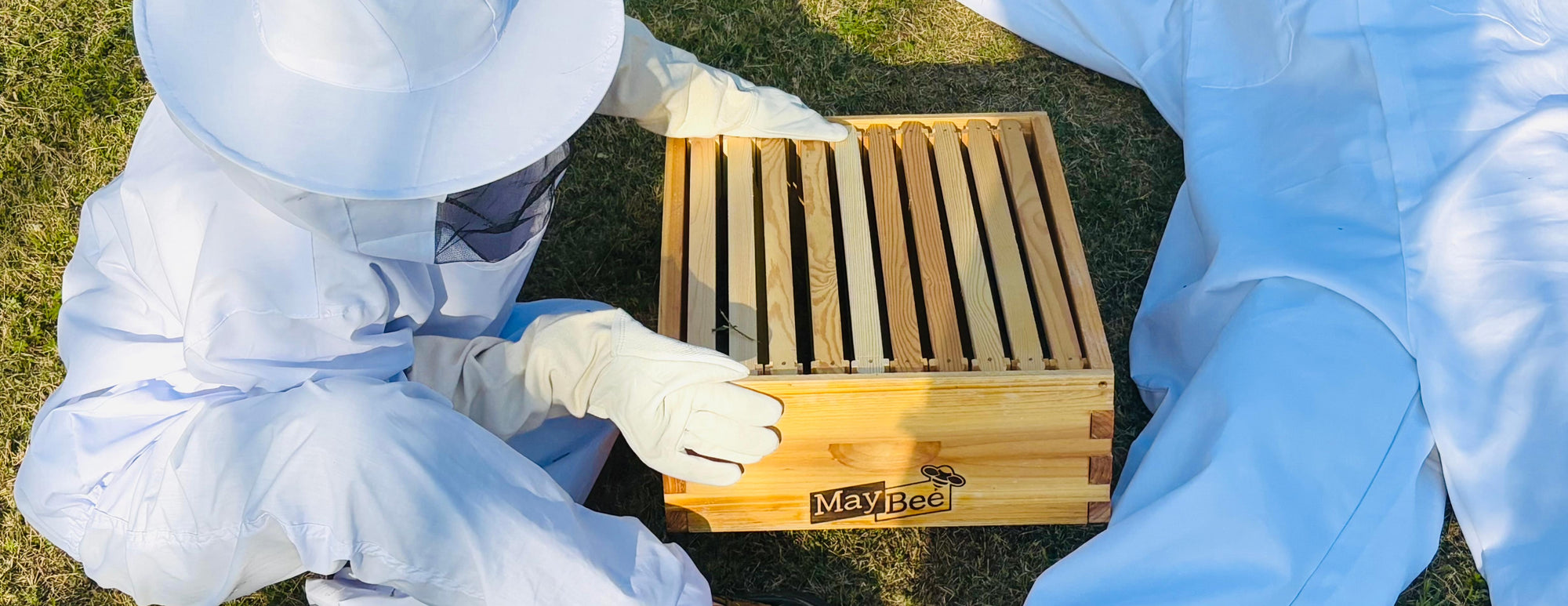 MayBee Beehives – Maybee Hives