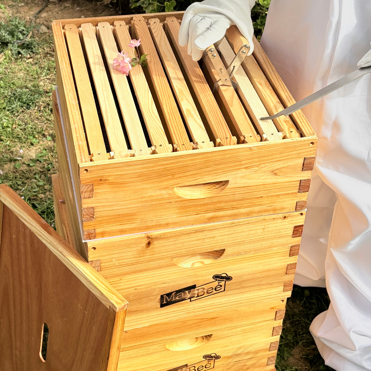 MayBee Hives 10 Frame Complete Cedar Wood Beehive Kits Include: 2 Deep ...
