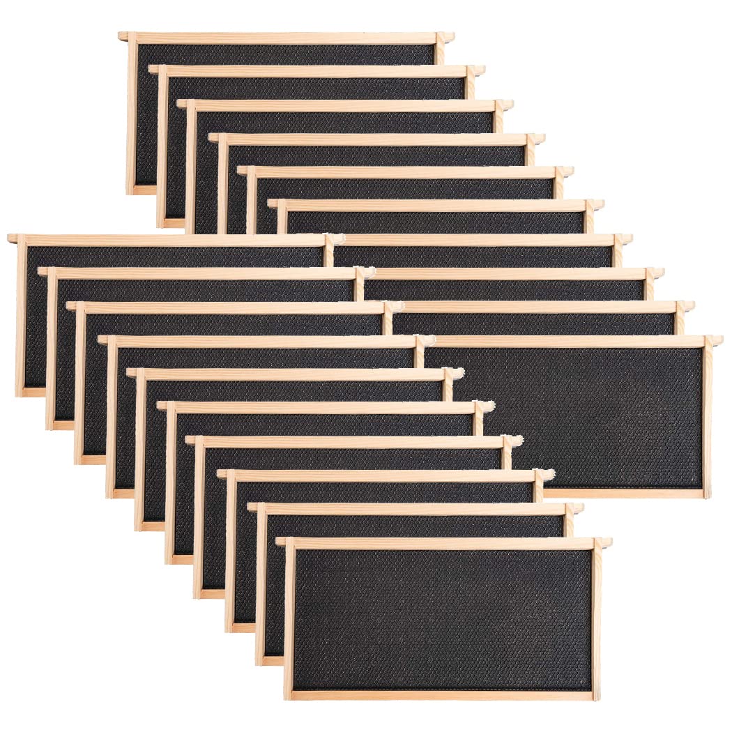 MayBee Hives 20 Pack 9 1/8" Deep Bee Hive Wooden Frame and Black Wax C ...