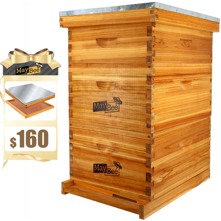 MayBee Beehives – Maybee Hives