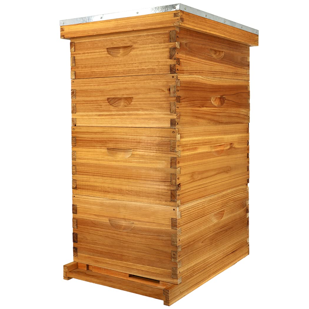 Maybee Hives 10 Frame 4 Layer Beehive Include Frame and Beeswax Founda
