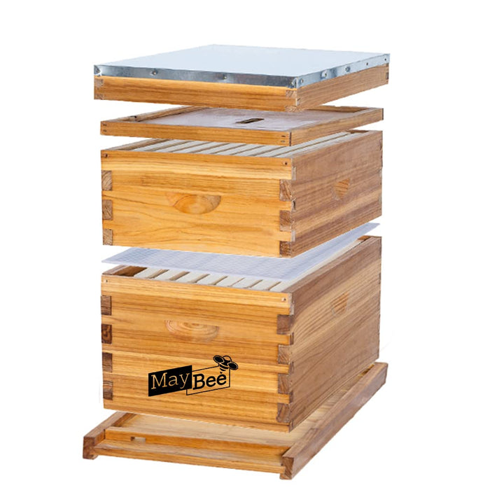 MayBee Hives,100% Beeswax Coated, Perfect for Langstroth Hive – Maybee ...